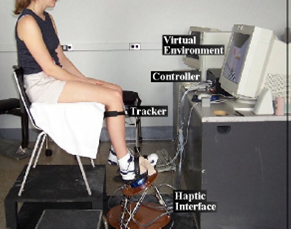 Taylor Spatial Frame (TSF)